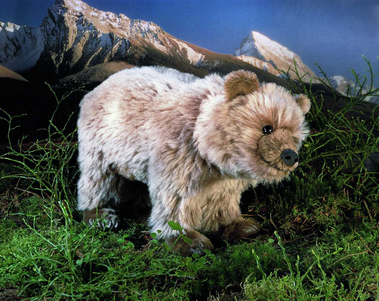Baer, Stofftier Grizzlybaer, stehend