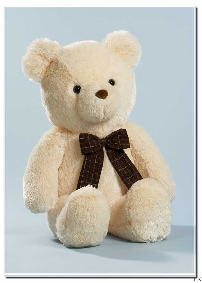 Teddybär